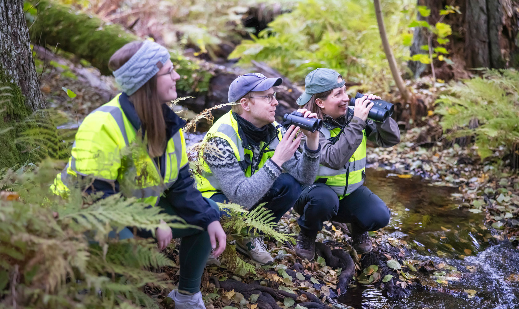 Nature restoration supports biodiversity - Sweco